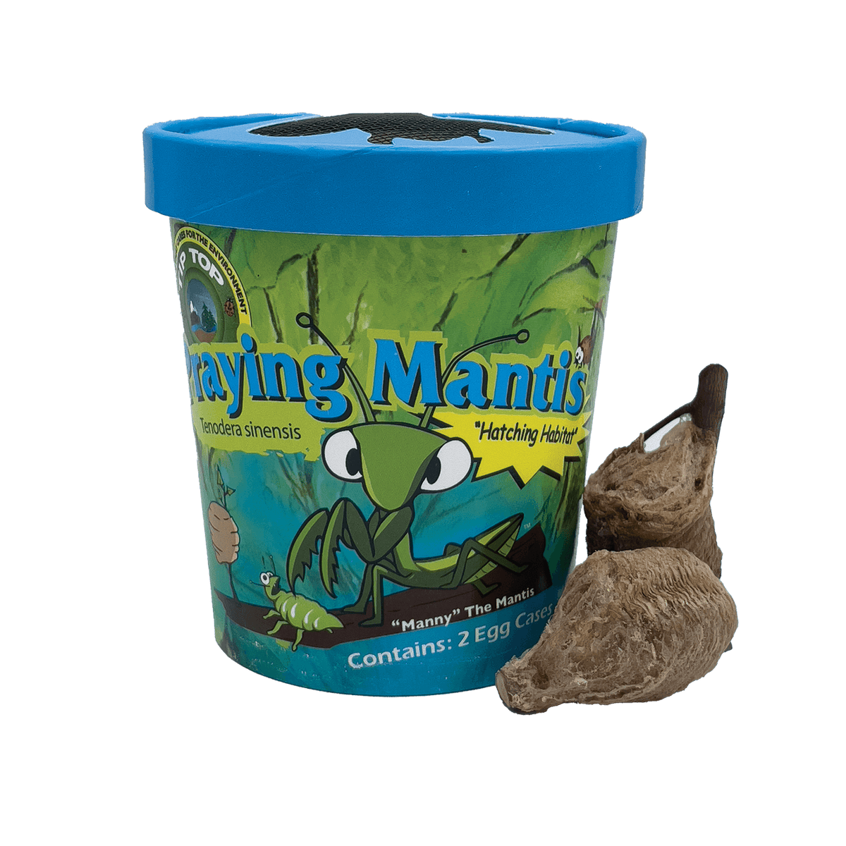 praying mantis hatching temperature