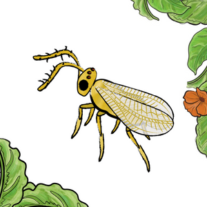 Tip Top Bio - Beneficial Insects for Natural Pest Solutions